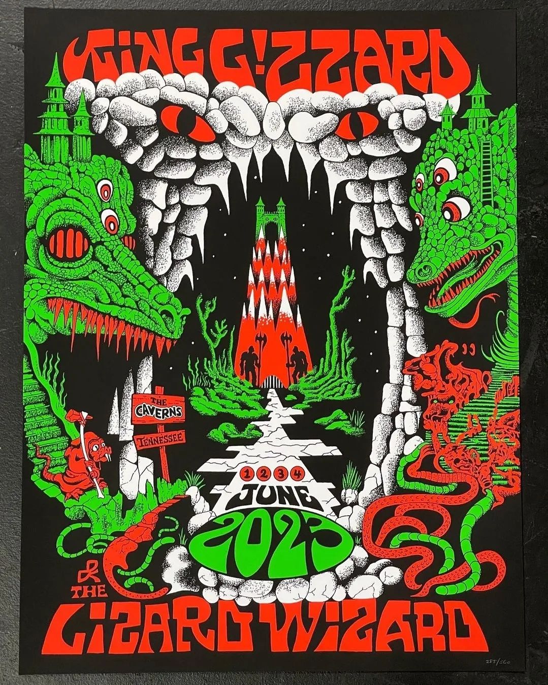 King Gizzard & The Lizard Wizard N3 Multiple Cities 23 Galea | Green ...