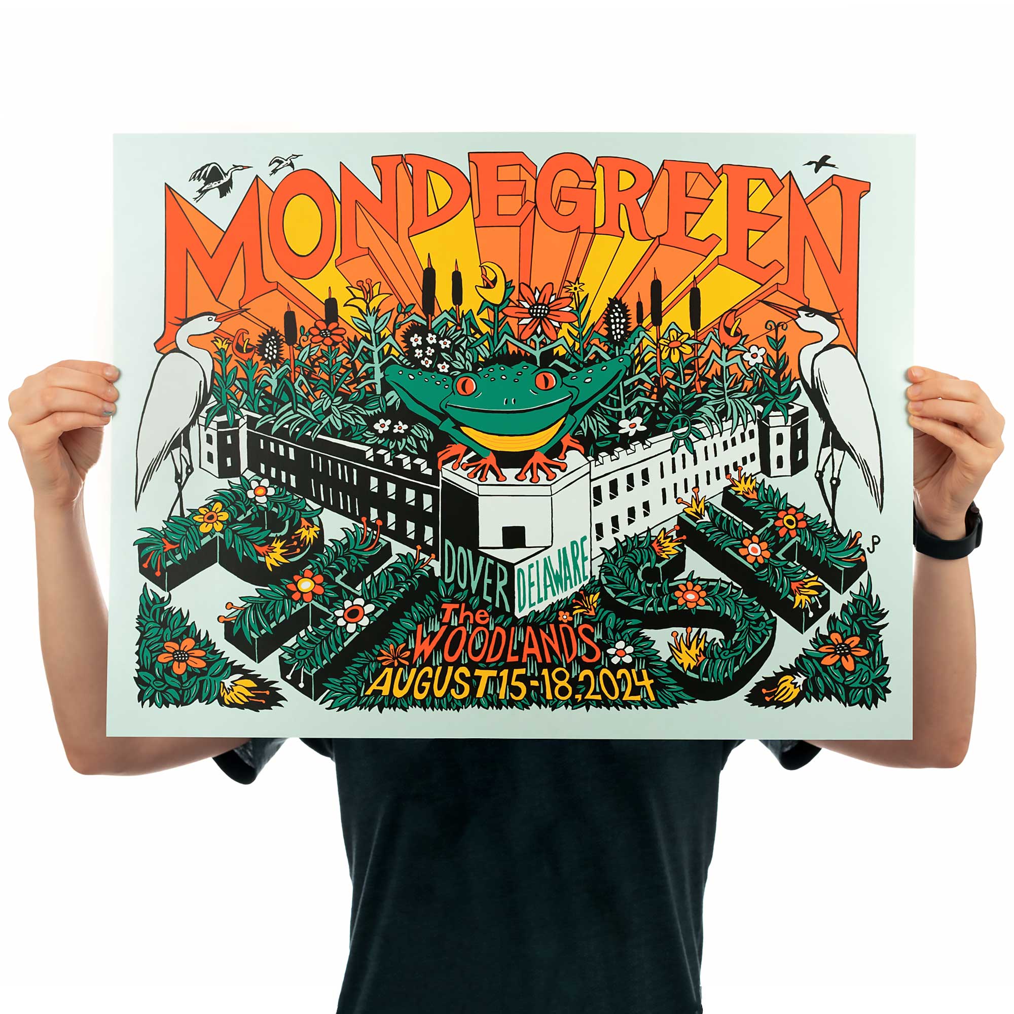 Mondegreen Dover 24 Pollock | PosterDrops.com