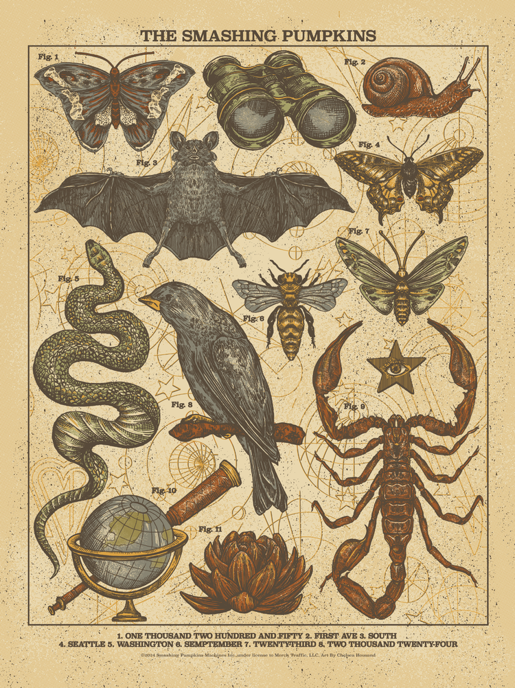 The Smashing Pumpkins Seattle 24 Housand | PosterDrops.com